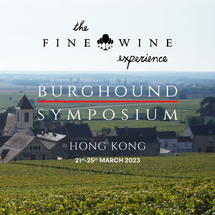 Domaine Ponsot | The Fine Wine Experience